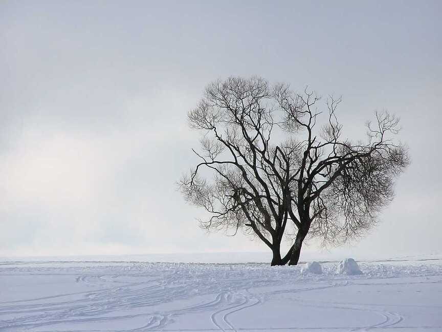 Isolation & Loneliness - Phinity Therapy